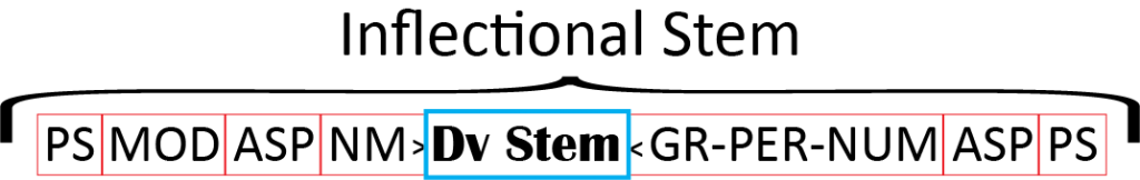 sʕwépleɁ – Inflectional Stem – SalishGrammar.com