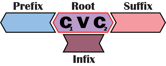 Inchoative Reduplication – SalishGrammar.com